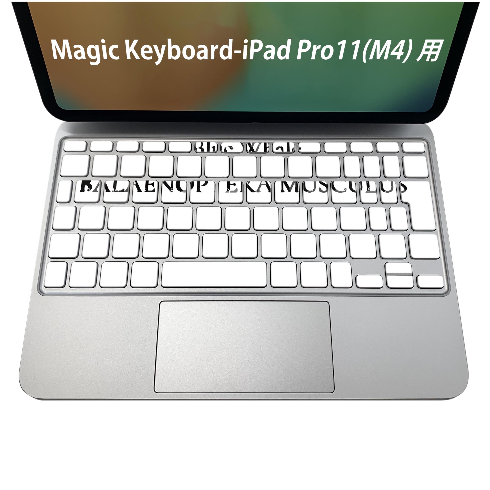商品特徴・貼るだけでおしゃれに簡単着せ替え、iPadPro11・13（M4）Magic Keyboard KeyTop &nbsp; 全面デザインスキンシール！組み合わせ自由に選べるセット売り！・高精細プリントで写真と遜色がない仕上がり！ ...