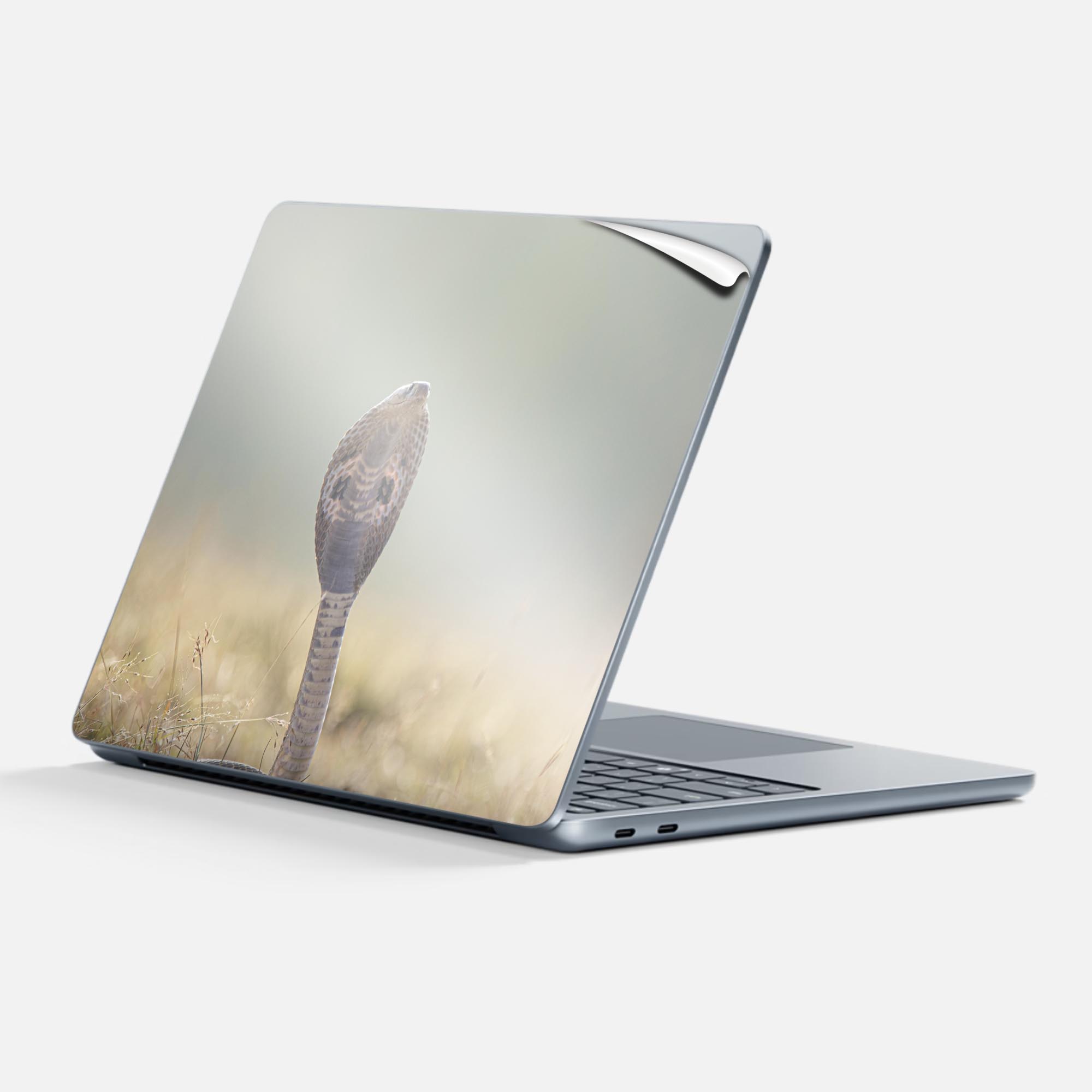 商品特徴・貼るだけでかんたん着せ替え、Surfac Laptop(第7世代) 13インチ 共通対応デザインスキンシール・高精細プリントで写真と遜色のない仕上がり！半光沢シートでしっとりツヤのある表現力・ちょっとしたすり傷からSurface本...