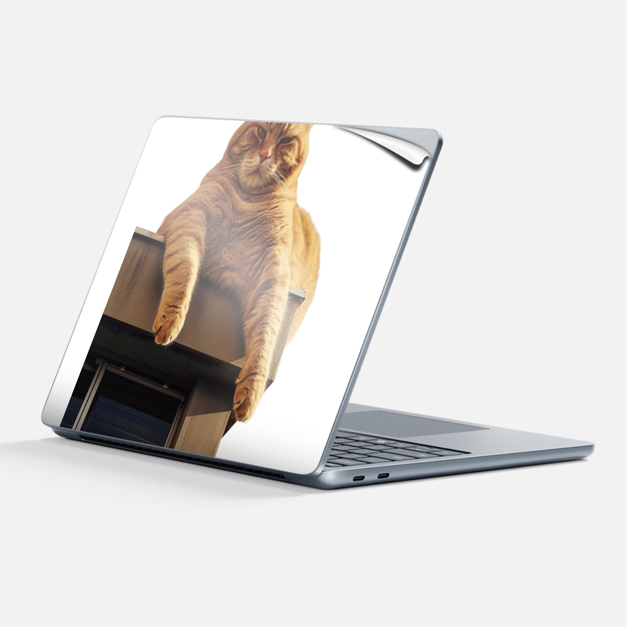 商品特徴・貼るだけでかんたん着せ替え、Surfac Laptop(第7世代) 13インチ 共通対応デザインスキンシール・高精細プリントで写真と遜色のない仕上がり！半光沢シートでしっとりツヤのある表現力・ちょっとしたすり傷からSurface本...