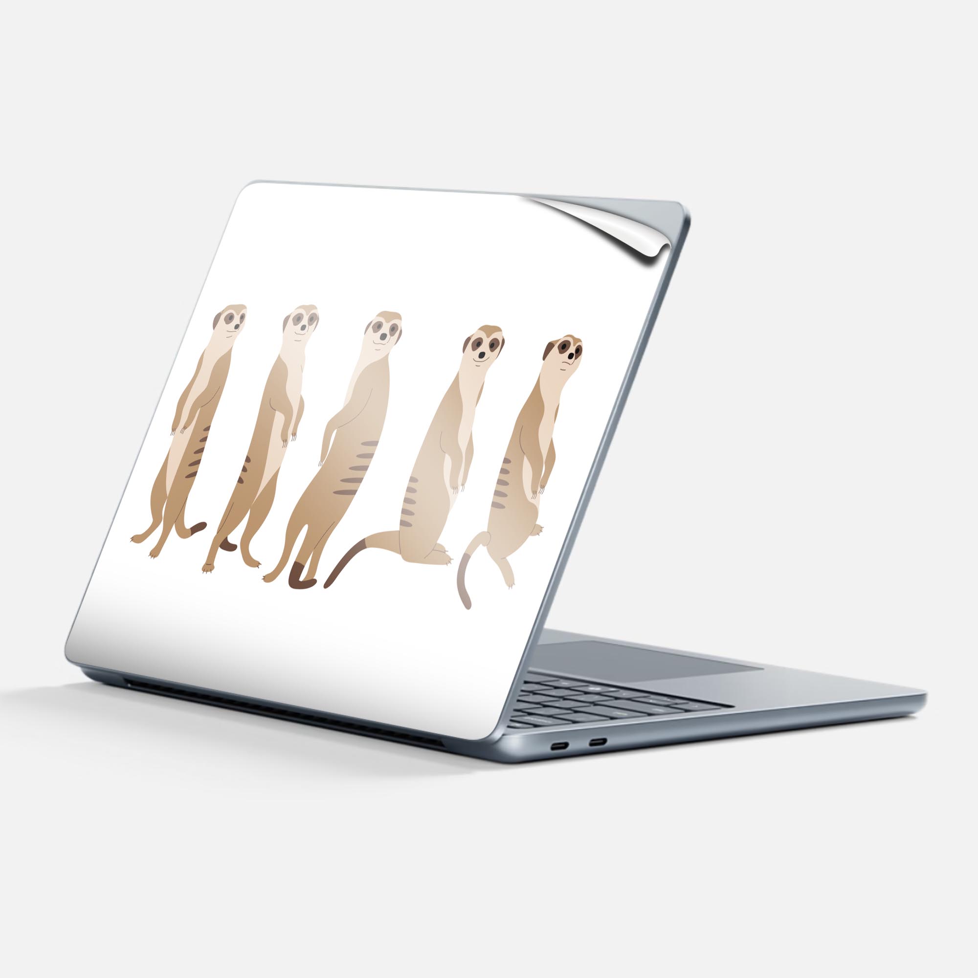 商品特徴・貼るだけでかんたん着せ替え、Surfac Laptop(第7世代) 13インチ 共通対応デザインスキンシール・高精細プリントで写真と遜色のない仕上がり！半光沢シートでしっとりツヤのある表現力・ちょっとしたすり傷からSurface本...