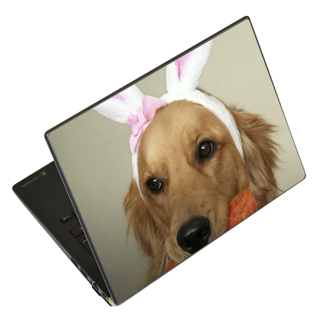 商品特徴・貼るだけでおしゃれに簡単着せ替え、13.3inch以下のノートパソコンデザインスキンシール！・高精細プリントで写真と遜色がない仕上がり！・ちょっとしたすり傷から端末を保護！・「裸で持つ派」の人にはもちろん、お手持ちのクリアケース付...