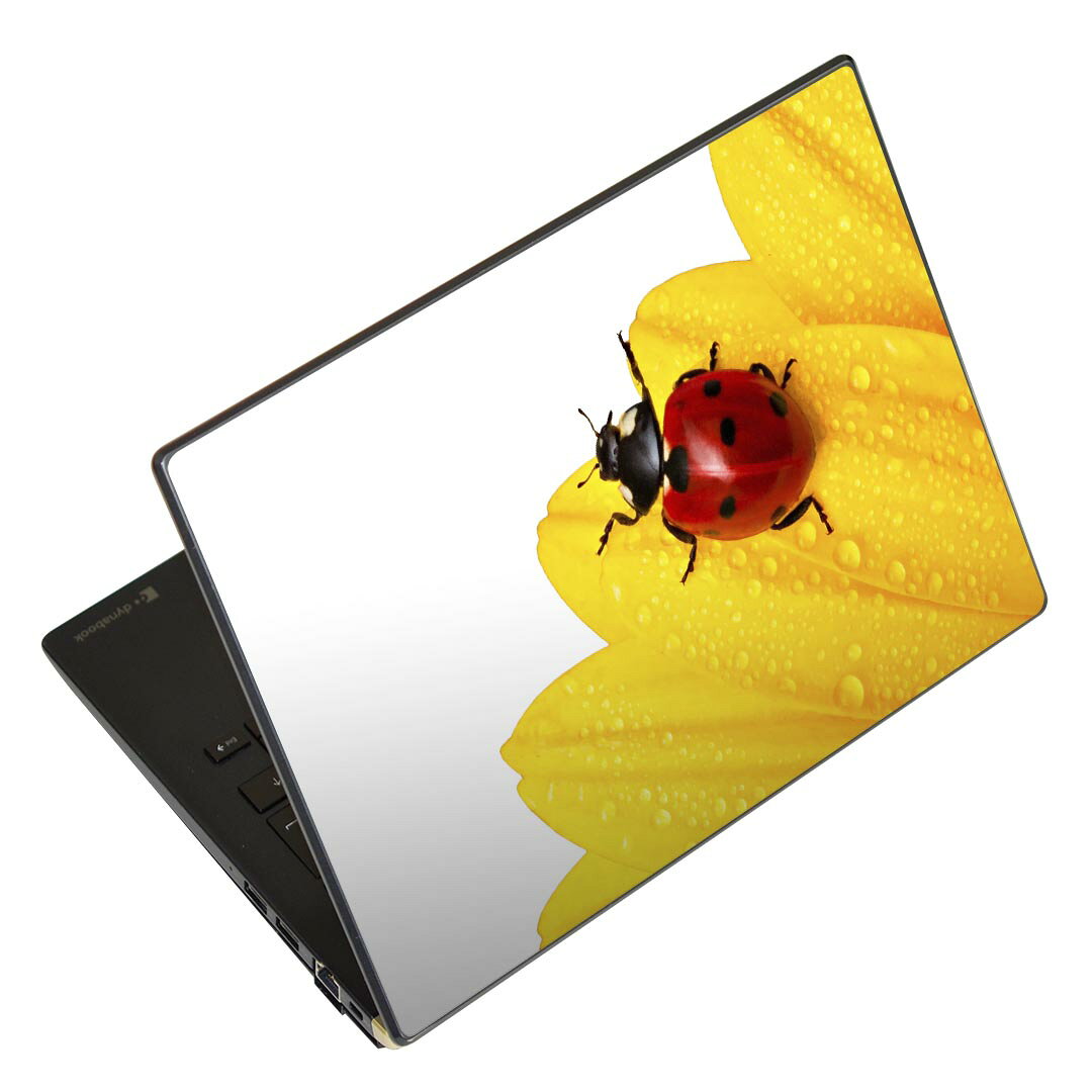 商品特徴・貼るだけでおしゃれに簡単着せ替え、13.3inch以下のノートパソコンデザインスキンシール！・高精細プリントで写真と遜色がない仕上がり！・ちょっとしたすり傷から端末を保護！・「裸で持つ派」の人にはもちろん、お手持ちのクリアケース付...