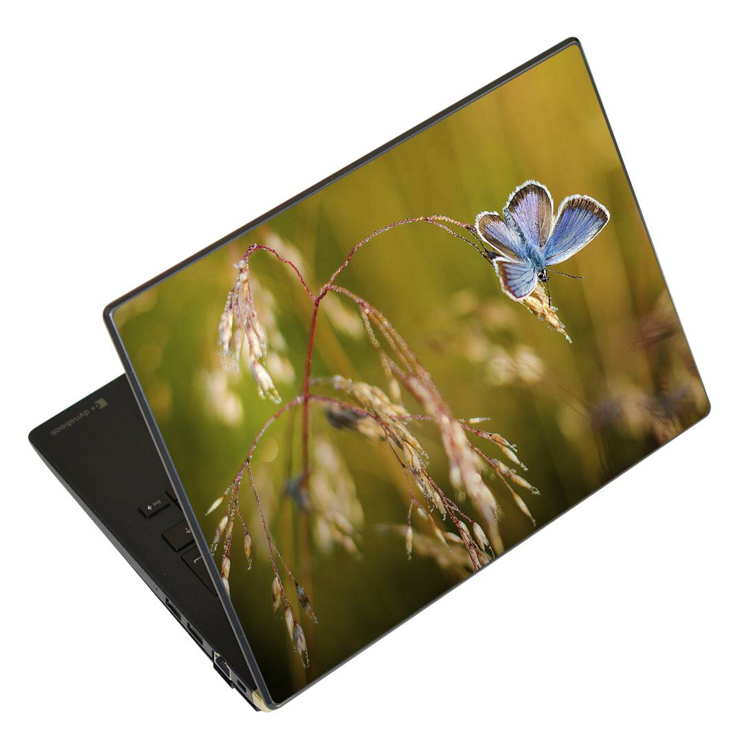 商品特徴・貼るだけでおしゃれに簡単着せ替え、13.3inch以下のノートパソコンデザインスキンシール！・高精細プリントで写真と遜色がない仕上がり！・ちょっとしたすり傷から端末を保護！・「裸で持つ派」の人にはもちろん、お手持ちのクリアケース付...