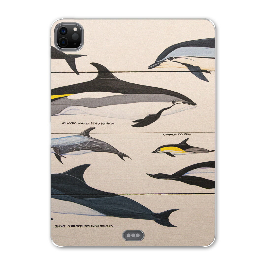 注意事項・素材ケースの入荷時期により、商品写真とは一部カメラ・ボタン穴などの形状が異なるケースを使用する場合があります。また、一部機種のTPU商品は素材強度の関係でケースの上からボタン操作するタイプとなりますが操作に影響はありません。・側面...