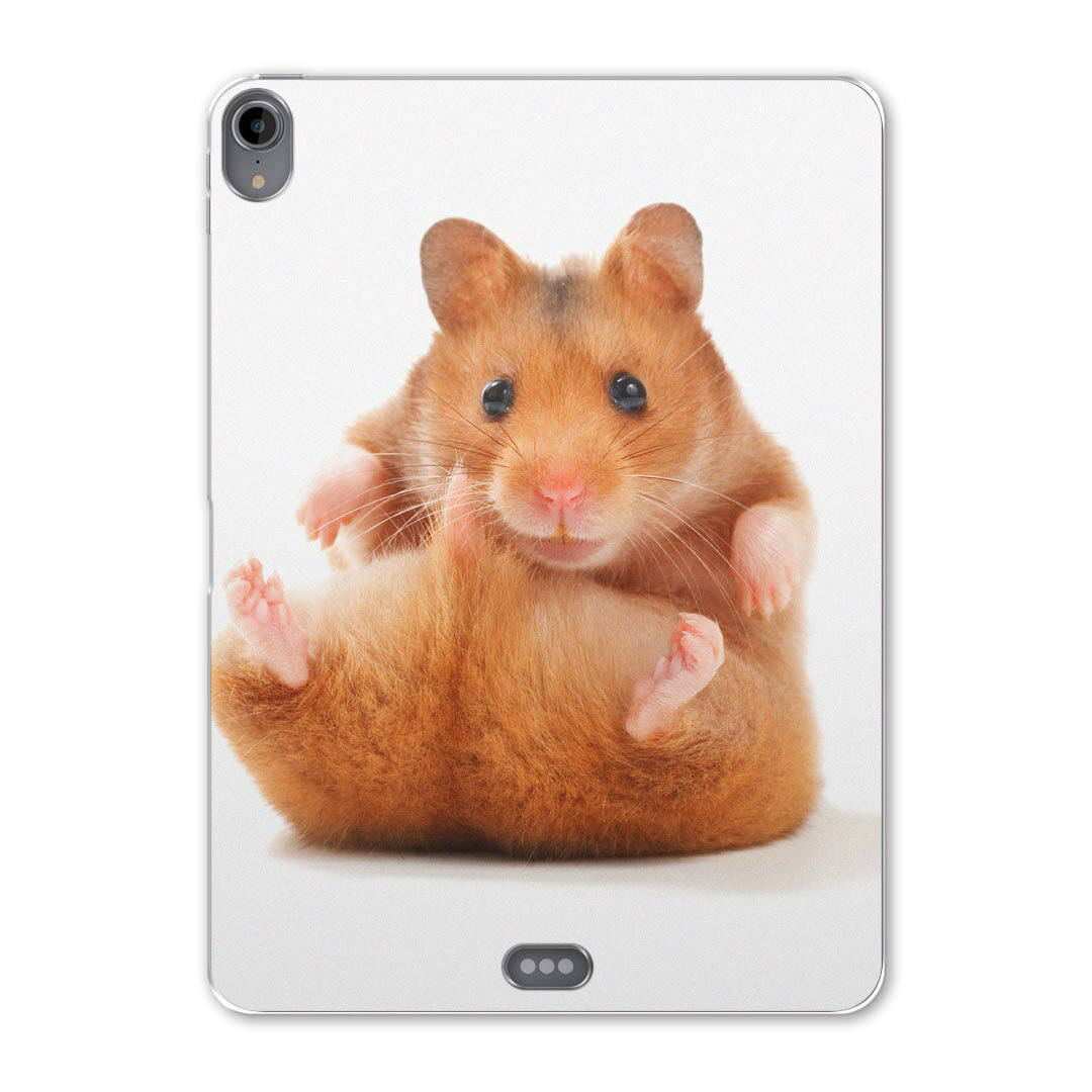 注意事項・素材ケースの入荷時期により、商品写真とは一部カメラ・ボタン穴などの形状が異なるケースを使用する場合があります。また、一部機種のTPU商品は素材強度の関係でケースの上からボタン操作するタイプとなりますが操作に影響はありません。・側面...