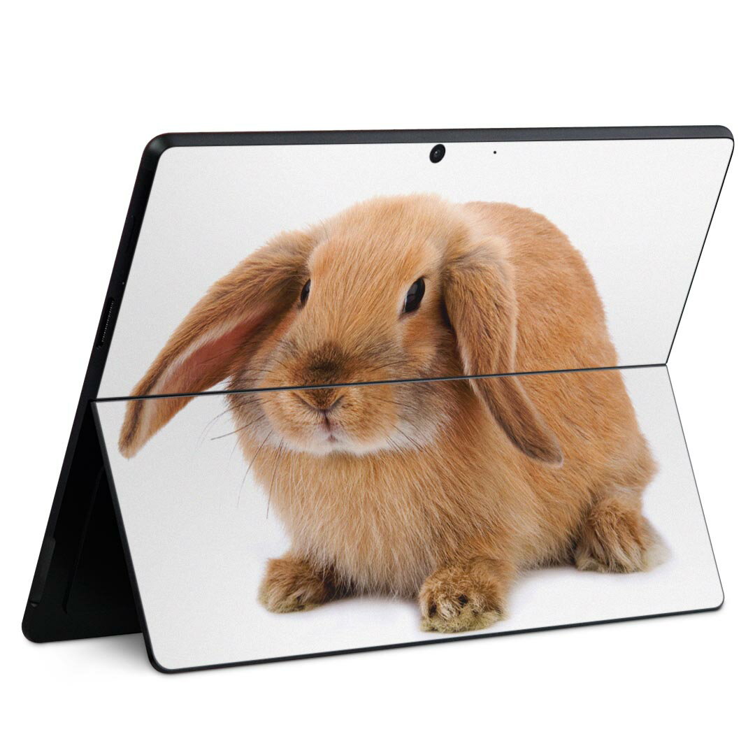 商品特徴・貼るだけでかんたん着せ替え、Surface Pro9 Pro 8 Surface Pro X 共通対応デザインスキンシール・高精細プリントで写真と遜色のない仕上がり！半光沢シートでしっとりツヤのある表現力・ちょっとしたすり傷からS...