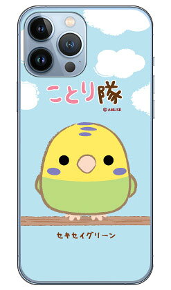 素材ケース本体／ポリカーボネート加工UV硬化型インク印刷範囲平面プリント（側面にプリントは入りません）対応機種iPhone 13 Pro Max/Apple専用【おすすめ】・ちょっとしたプレゼント（ギフト）やポイント消化にご利用下さい。＊プ...