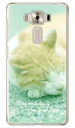 素材ケース本体／ポリカーボネート加工UV硬化型インク印刷範囲平面プリント（側面にプリントは入りません）対応機種ZenFone 3 Deluxe （5.5インチ） ZS550KL/MVNOスマホ（SIMフリー端末）専用【おすすめ】・ちょっとし...