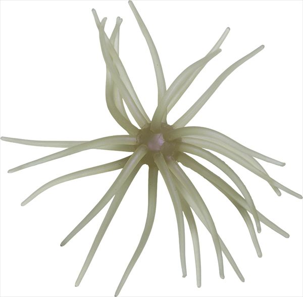 多彩なリグに対応できるフィネスモデル！全国のフィールドにマッチするサイズ感の旧コイケにソフトマテリアルがラインナップ。旧コイケ通常モデルより柔らかく、フィネスな位置づけです。リアクションダウンショットや吊るし、アングラーの意のままにお使いく...