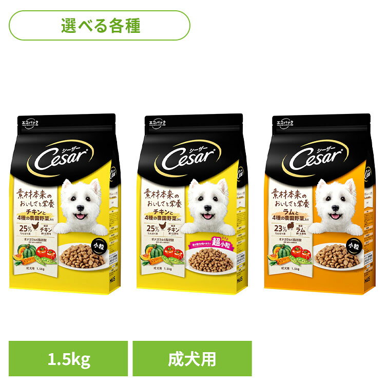 ※リニューアルに伴い、パッケージ・内容等予告なく変更する場合がございます。予めご了承ください。 ●内容量 1.5kg ●商品サイズ（cm） 幅約20×奥行約9×高さ約33.5 ●原材料 チキン小粒/超小粒：チキンミール、小麦、さとうもろこし...