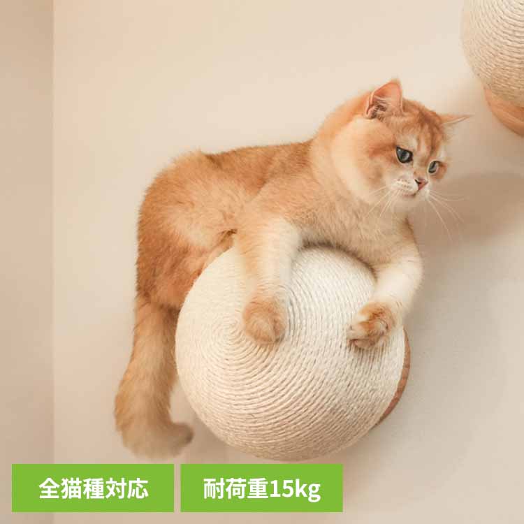 Caturn N25　爪研ぎボール猫の毎日を、空間のアートに宇宙からやってきたデザイン性あふれる爪研ぎボール【 Caturnの由来】宇宙に浮かぶ惑星からインスピレーションを得て生まれた「Caturn（キャターン）」。猫の本能である“ひっかく...