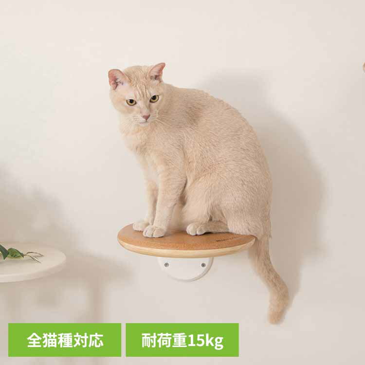 Cork-Rバリアフリーの小型ステップ【高密度コルク300D×天然木がキャットステップに】Cork-Rは、直径28cmのコンパクトなつくりで、上下移動のためのキャットステップ。広々ゆったり休憩タイプのCorkと組み合わせることでさらに雰囲気...