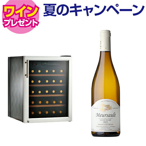 収納数/棚25本/4枚シリーズ/商品名サイレントカーブ/CS32BV2種類/冷却方式アブソープションシステム/長期保存幅×奥行×高さW530×D590×H724（mm）重量45kg温度設定/庫内湿度8〜18℃/-扉 ガラス扉/ブラック消費電...