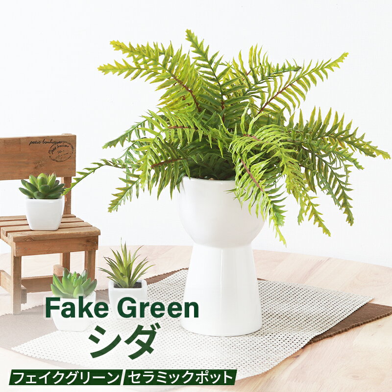 【商品名】フェイクグリーン シダ　セラミックポット 【材質】 葉/幹：ポリエチレン/スチール 鉢：セラミック/発泡スチロール/石 【サイズ】 本体：(約)42×D45×H40 cm 鉢：(約)Φ11.5×H19.5 cm 【送料無料】 沖縄...