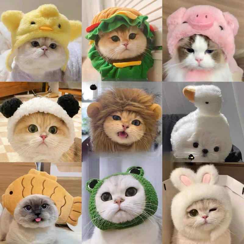 ・素材: 毛糸・カラー: いびき小ピンク豚、もちもち小黄鶏、ふわふわ小兎兎、美味鯛魚焼、ぼんやり可愛大白雁、うおー小獅子、可愛小茶熊、天真小白熊、甘美小粉熊、団寵小パンダ、柔らか小兎子、ハンバーガーL、小麦イヤホン、大眼蛙S、大眼蛙M、二師...