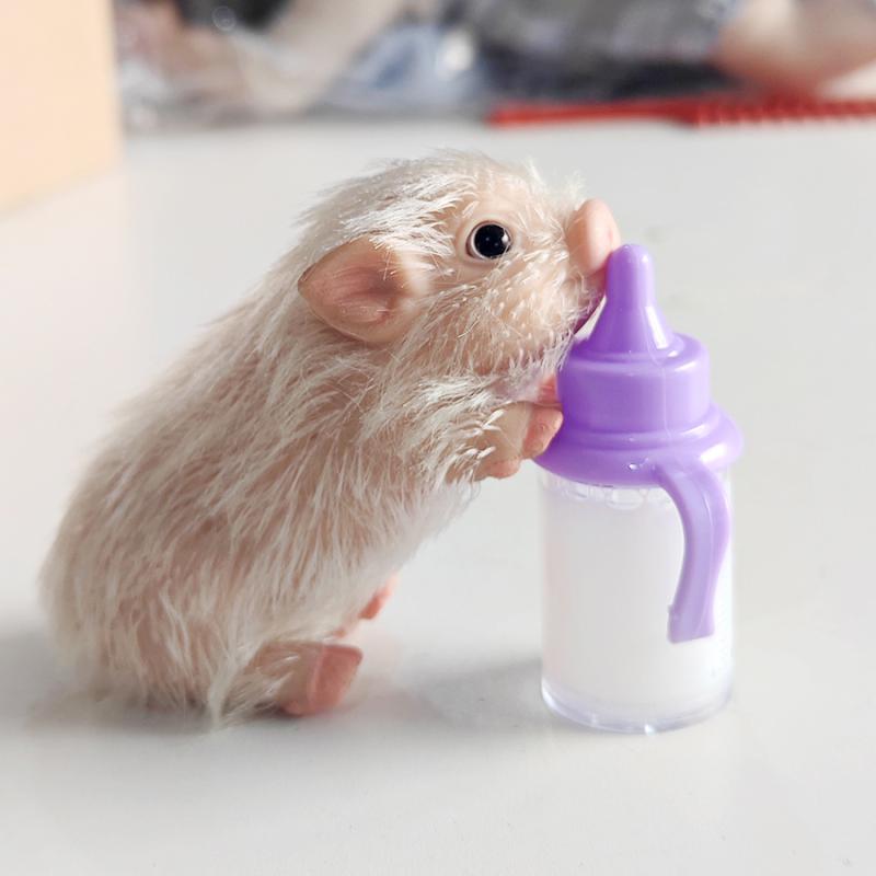 ・サイズ: 12×6×5cm・素材: シリコン・形状: 動物・色: 肌色巻き尾微笑豚,肌色短尾趴豚,茶毛小豚,小鼠,パンダ,ハリネズミ,黄青セット肌色巻き尾微笑豚,黄青セット肌色短尾趴豚,茶色セット肌色巻き尾微笑豚,茶色セット肌色短尾趴豚,...