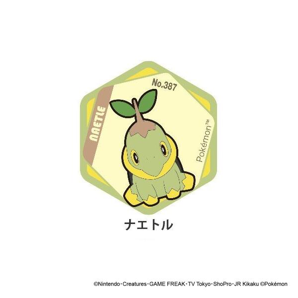 アイアップ ポケットモンスター ハニカムアクリルマグネット vol.7　　ナエトル 旅のはじまりで出会えるポケモンたち♪たくさん集めて組み合わせられます 商品サイズ約H45×W40×D5mm『ポケットモンスター』からハニカムアクリルマグネッ...