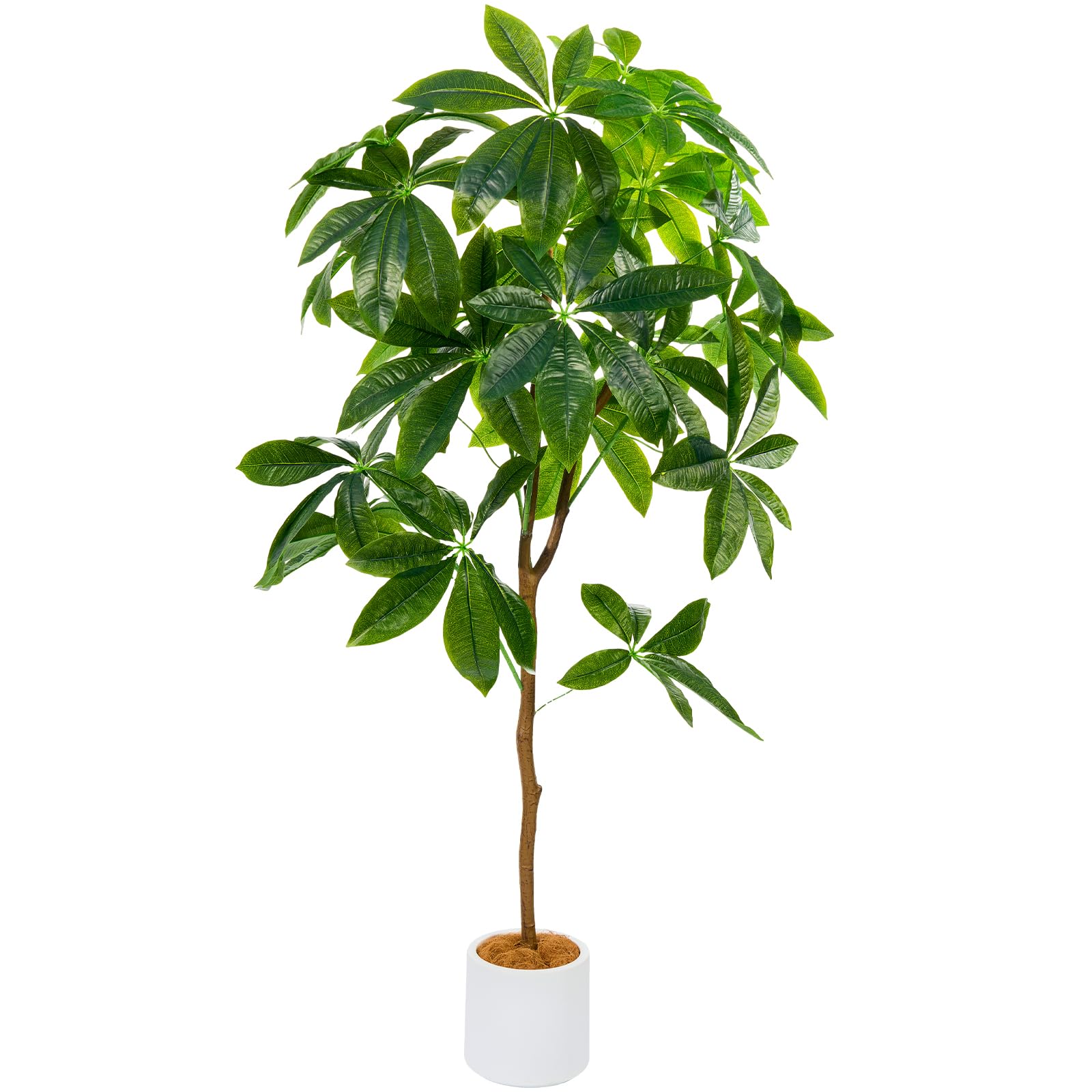 ブランド: Melvint 型番: LT-FZLZ カラー: パキラ（大葉） サイズ: 150 cm