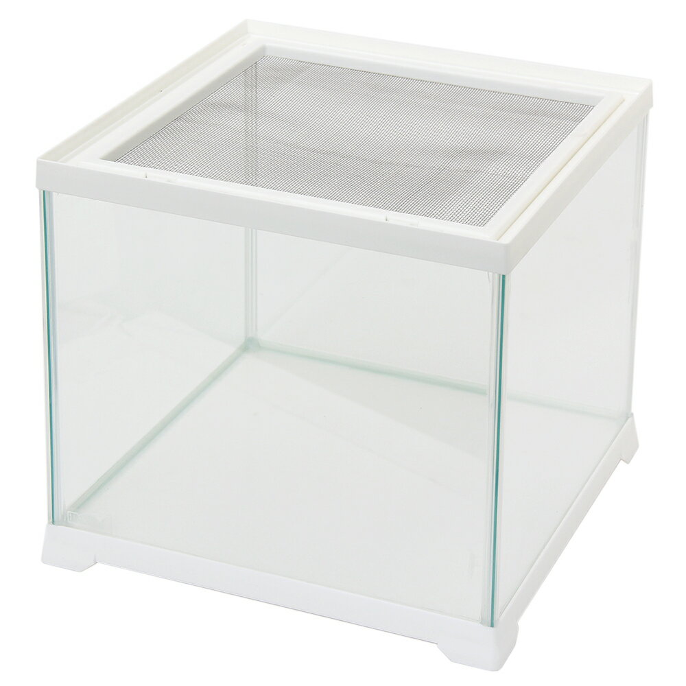 GEX レプテリア ホワイト 300キューブ High | RIUM