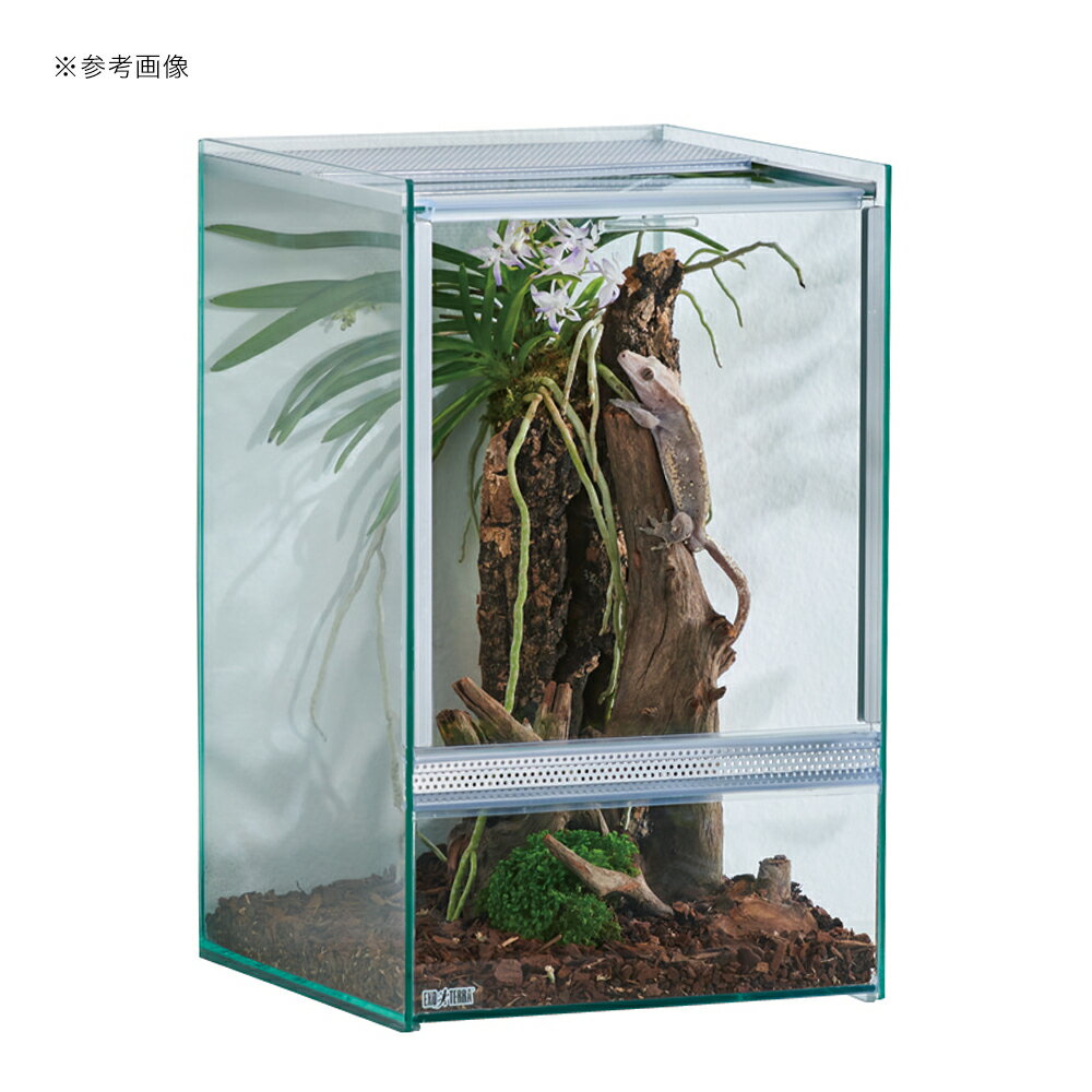 GEX レプテリア クリアネオ 250High | RIUM