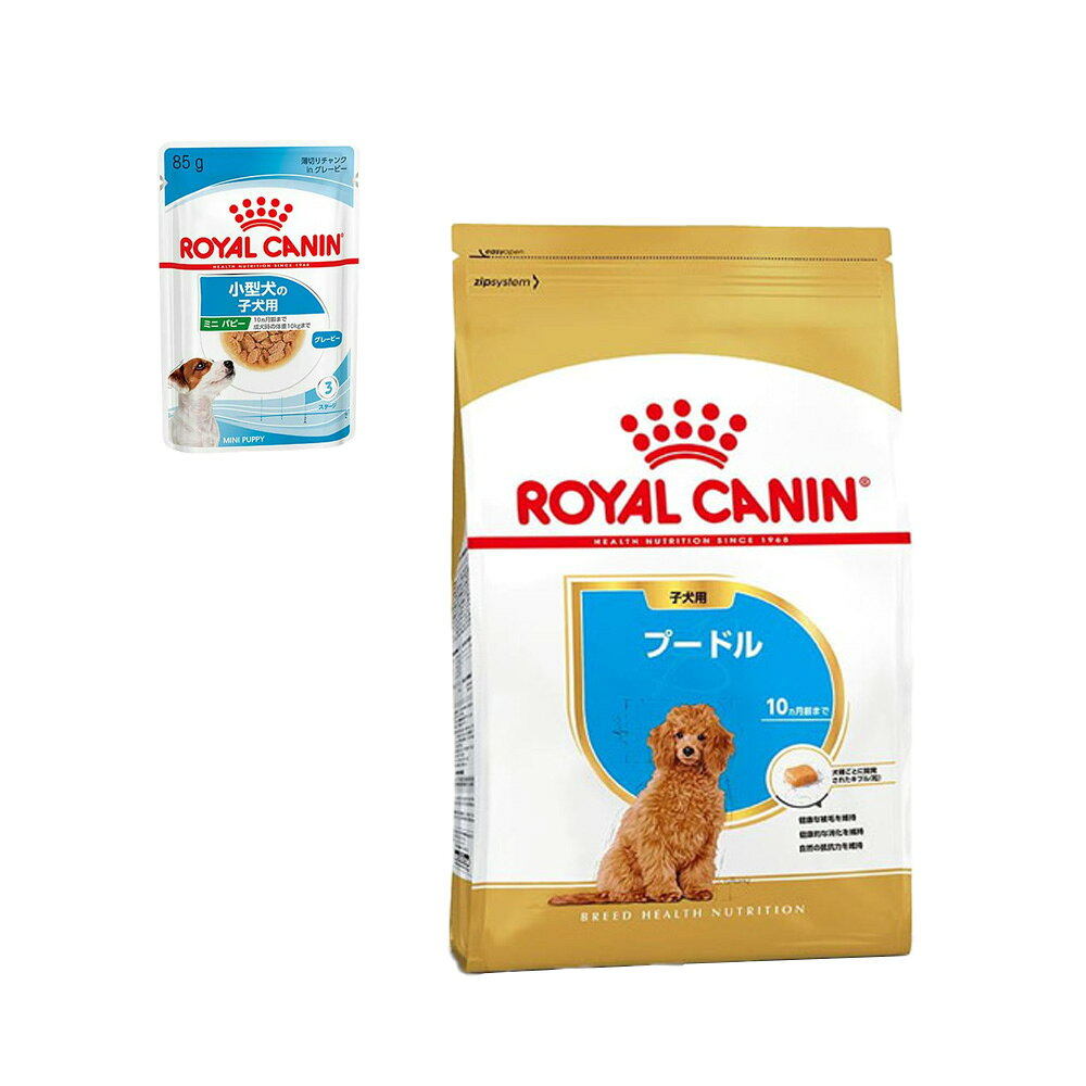 メーカー：ロイヤルカナン品番：プードル子犬800 犬 ※本品はお一人様1点限りとさせて頂きます。予めご了承ください。※本品はリニューアル中です。リニューアル品は原材料のうちマリーゴールドエキスが「マリーゴールドエキス（ルテイン源）」から「マ...