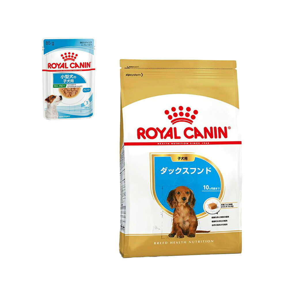 メーカー：ロイヤルカナン品番：ダックス子犬800 犬 ※本品はお一人様1点限りとさせて頂きます。予めご了承ください。ダックスフンドのための毎日の総合栄養食！ロイヤルカナン　ダックスフンド　子犬用　800g　＋　パウチ　1袋　おまけ付　お一人...