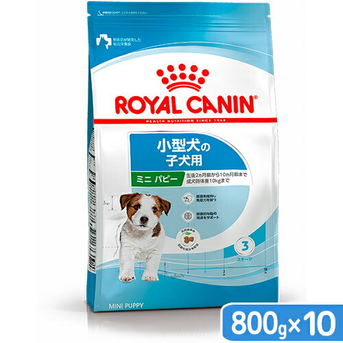 メーカー：ロイヤルカナン品番：ミニパピー800 犬※本品はお一人様5点限りとさせて頂きます。予めご了承ください。生後10ヵ月齢までの小型犬子犬に！ライフステージ子犬用（生後10ヶ月齢まで）対象小型犬（成犬時体重1〜10kg）機能総合栄養食タ...