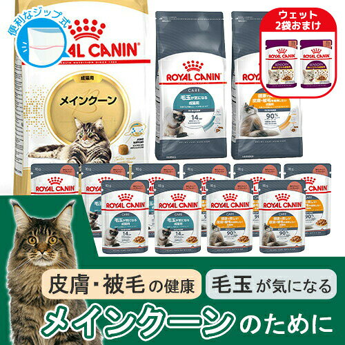 メーカー：ロイヤルカナンメインクーンのための特別セット！ロイヤルカナン　メインクーンセット　毛玉、皮膚・被毛の健康に配慮　ドライ3種3袋　＋　ウェット2種10袋対象猫機能総合栄養食特長●特に毛玉が気になる・皮膚被毛の健康が気になるメインクー...