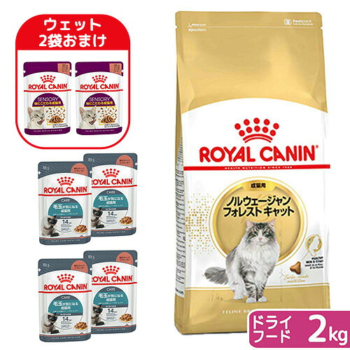 メーカー：ロイヤルカナン※本品はお一人様4点限りとなります。予めご了承ください。ノルウェージャン　フォレストキャットのための最適な栄養バランスと飲み込んだ毛の健康的な排出をサポートロイヤルカナン　猫　ノルウェージャン　フォレスト　キャット　...