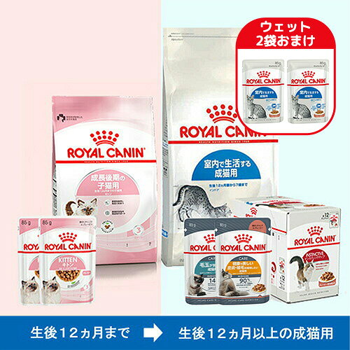 メーカー：ロイヤルカナン大人の仲間入りをする室内暮らしの猫ちゃんへ！ロイヤルカナン　室内で暮らす猫向け　子猫から成猫への切り替えセット　ドライ2種2袋＋ウェット4種16袋機能総合栄養食セット内容【生後4ヶ月から生後12ヶ月までの子猫用】●F...