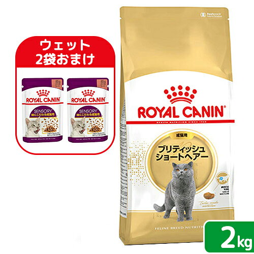 メーカー：ロイヤルカナンブリティッシュ ショートヘアーのために特別に設計された栄養バランス！ロイヤルカナン　FBN　ブリティッシュ　ショートヘア　成猫用　2kg対象猫タイプドライフード機能総合栄養食ライフステージ成猫（生後12ヶ月から12歳...