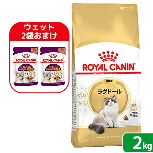 メーカー：ロイヤルカナンラグドールのために特別に設計された栄養バランス！ロイヤルカナン　FBN　ラグドール　成猫用　2kg対象猫タイプドライフード機能総合栄養食ライフステージ生後12ヶ月齢から12歳まで特長●ラグドールの広い顎に最適な形でデ...