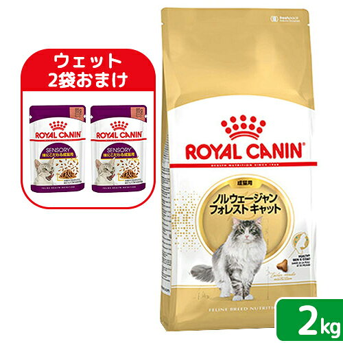 メーカー：ロイヤルカナンノルウェージャン フォレスト　キャットのために特別に設計された最適な栄養バランスとキブル（粒）ロイヤルカナン　FBN　ノルウェージャン　フォレスト　キャット　2kg対象猫タイプドライフード機能総合栄養食ライフステージ...