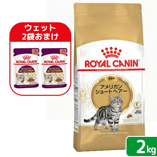 メーカー：ロイヤルカナンアメリカン ショートヘアーのために特別に設計された最適な栄養バランスとキブル（粒）ロイヤルカナン　FBN　アメリカンショートヘアー　2kg対象猫タイプドライフード機能総合栄養食ライフステージ生後12ヶ月齢から12歳ま...