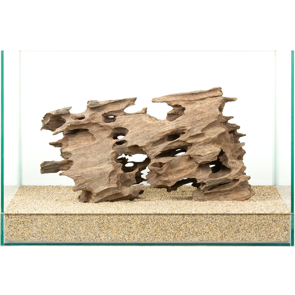 メーカー：レイアウト素材●この流木は【当店で煮込み済み】です。●半日〜1日煮込んでアク抜き作業および殺菌を施しておりますが、水槽投入後、流木自体の色素が出てしまう場合もございます。●流木からの色素は生体への影響がないとされておりますが、気に...