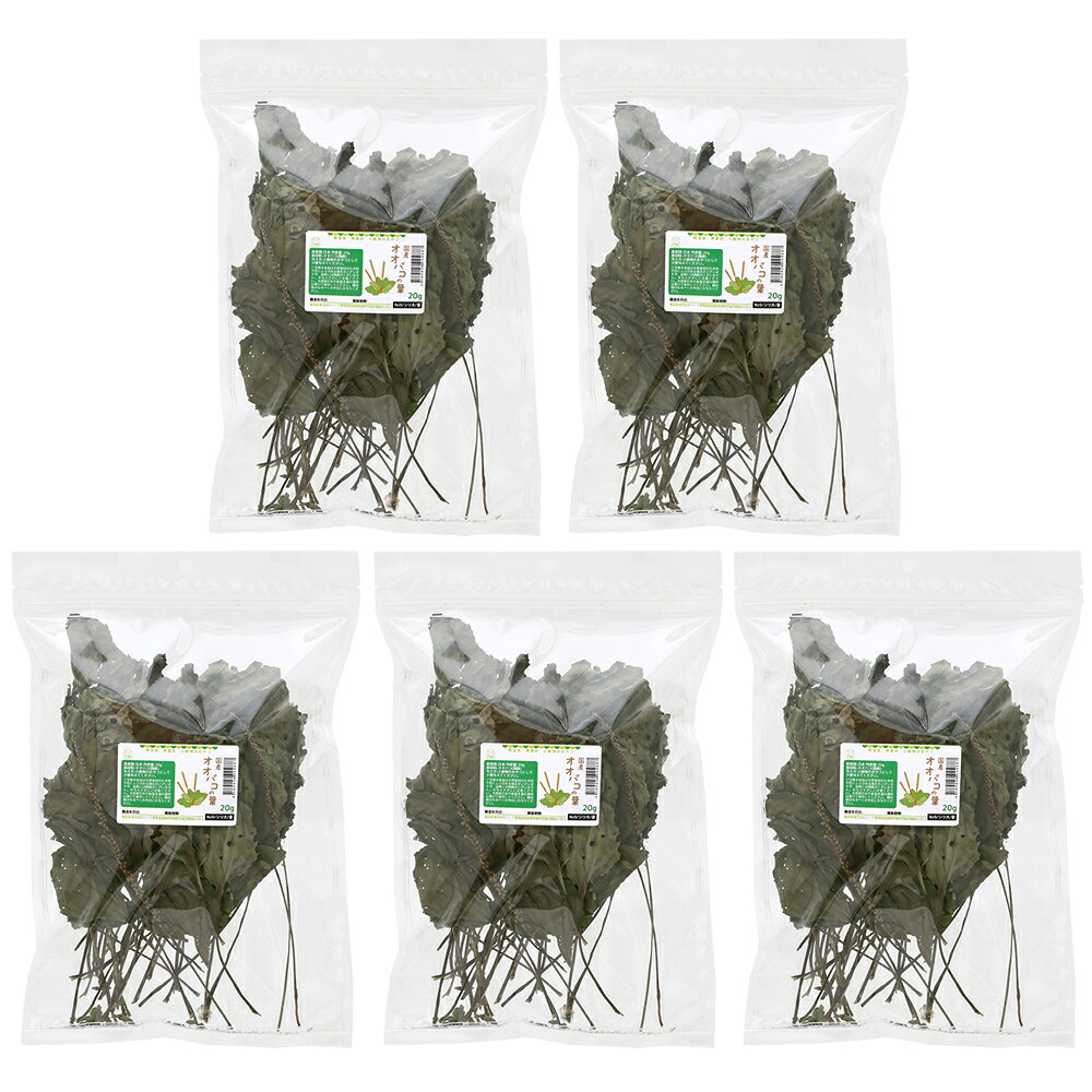メーカー：(株)リーフ Leaf Corp品番：▼割▼低温で乾燥させたおいしい国産ドライリーフ国産　オオバコの葉　100g（20g×5袋）機能おやつ特長●オオバコは古くからウサギやリクガメ、鳥のエサに利用されてきた野草です。●便をコーティン...