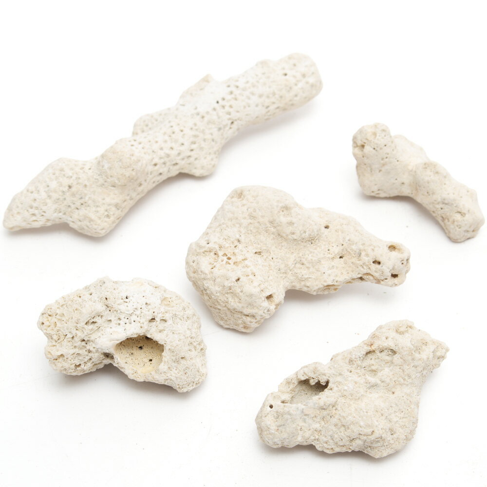 飾り用の天然サンゴ石！サンゴ石　3〜10cm（形状お任せ）　5個特長●海水魚やアフリカンシクリッドなど、アルカリ性の水質を好む生体の飼育に適しています。●飾り用としてだけでなく、多孔質のためバクテリアを繁殖させ水質を良好に保つ環境をつくるた...