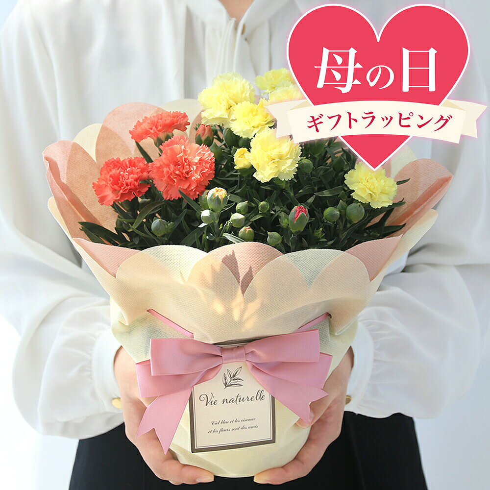 母の日限定商品について【ギフト仕様について】本商品はギフトラッピング仕様です。母の日のプレゼントに相応しく可愛くラッピングしてお届けいたします。※ラッピング仕様やリボンの色、箱の柄等ご注文のタイミングにより画像と異なる場合がございます。母の...