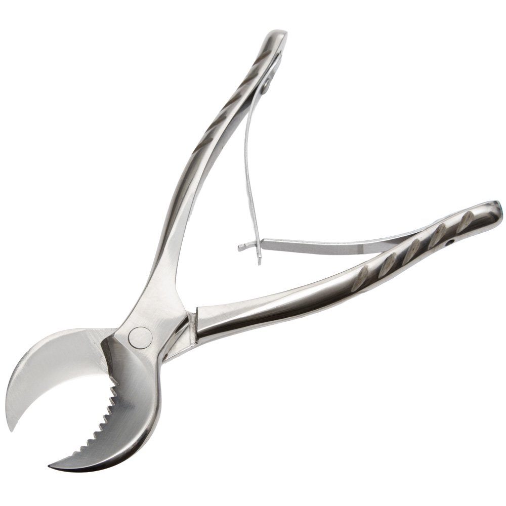 メーカー：(株)リーフ Leaf Corp割り出しを効率的に！材割りペンチ対象各種産卵木特長●産卵木の材割りに適したペンチです。●クワガタの幼虫や卵を割り出す際に重宝します。●一部を挟んで割ることができるので、幼虫を傷つけてしまう心配が少な...