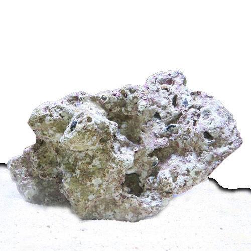 1個あたり1kg〜2kg程度のライブロックです。迫力のある石組が組める大きめのライブロックです！Bグレードライブロック　Lサイズ　1個　（形状お任せ）仕様※こちらのライブロックはSグレードの選に含まれないものをミックスしたものとなります。※...