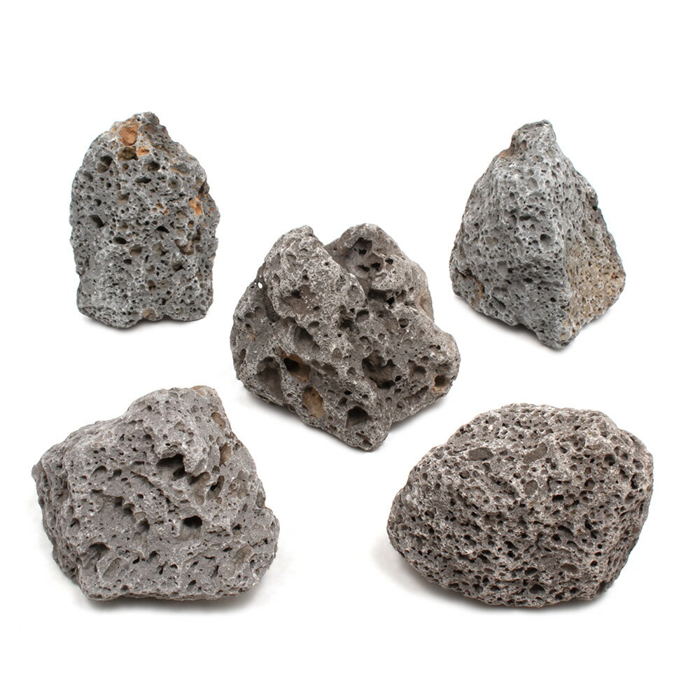 グレーの溶岩石！形状お任せ　玄武石　Mサイズ（約13〜18cm）　5個対象淡水用特長●「玄武石（げんぶせき）」はグレーを基調とした色合いをしている溶岩石です。●表面に起伏があり、ウィローモスやアヌビアスなどの活着性の水草や、モスの巻き付け・...