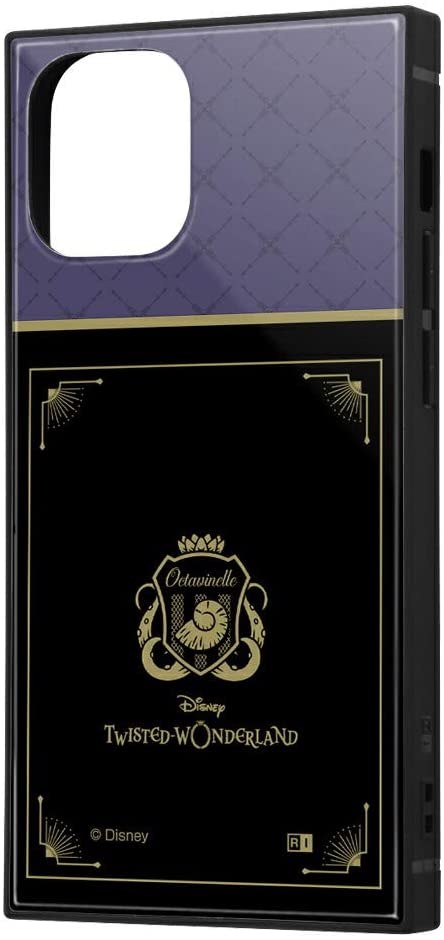 個性的な四角いフォルムと、衝撃に強いTPU素材の側面、薄くて軽いアクリルパネル を背面にセットした iPhone 2020 5.55inch用 耐衝撃ケース KAKUハイブリッド。端末側面保護、衝撃吸収エアクッション付。背面パネルには『バッ...