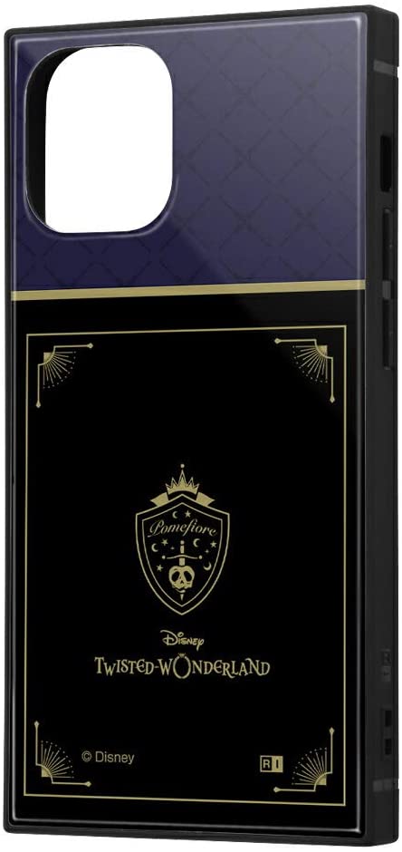 個性的な四角いフォルムと、衝撃に強いTPU素材の側面、薄くて軽いアクリルパネル を背面にセットした iPhone 2020 5.57inch用 耐衝撃ケース KAKUハイブリッド。端末側面保護、衝撃吸収エアクッション付。背面パネルには『バッ...