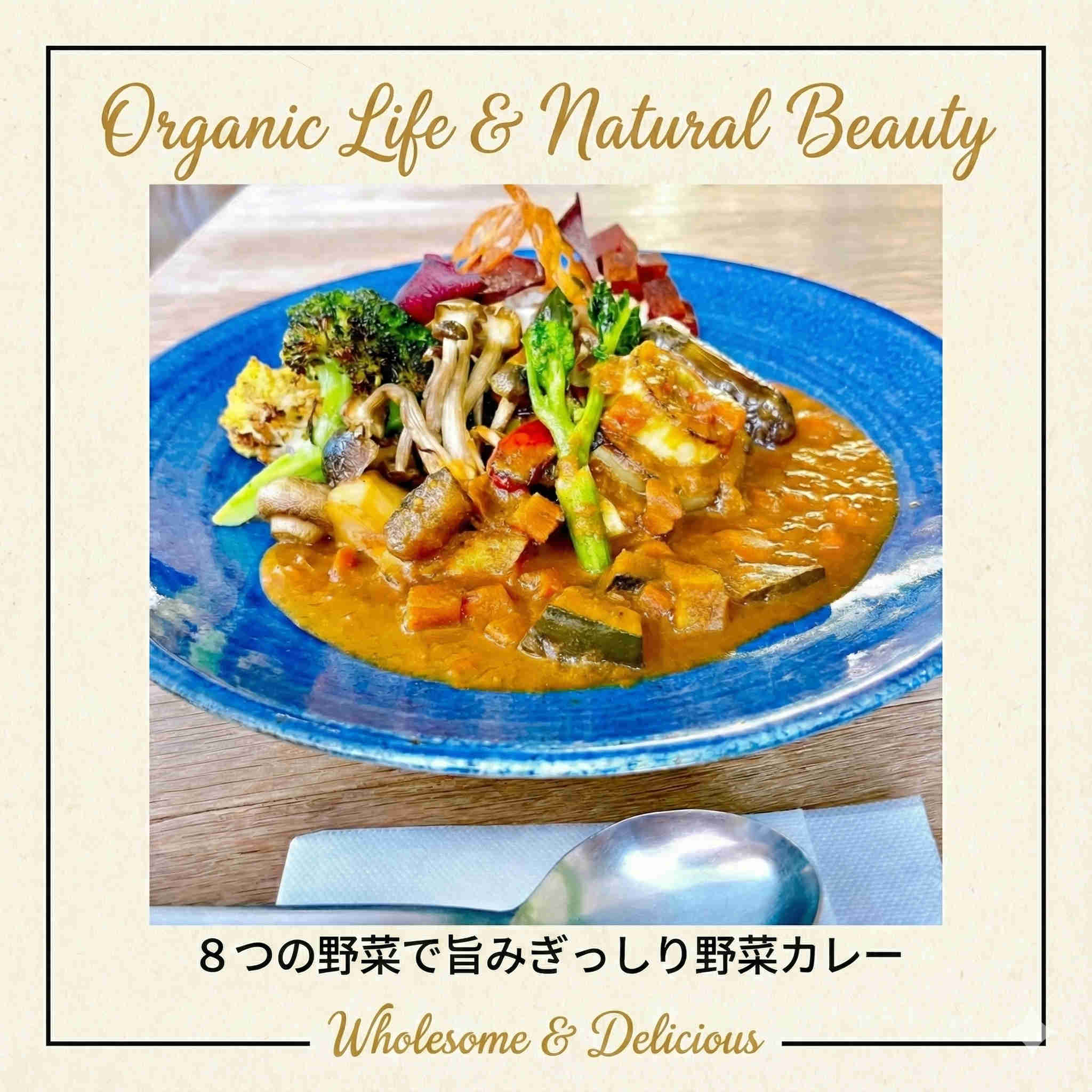 商品説明名称野菜カレー 原材料名野菜（かぼちゃ、人参、れんこん、赤パプリカ）、昆布だし、ローストオニオン、トマトペースト、ココナッツミルク、てんさい糖、人参ペースト、かぼちゃペースト、オリーブ油、味噌、カレー粉、にんにくペースト、生姜ペース...