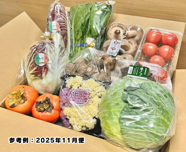 発送について ●数量限定 ※発送日はご指定できません。11/16～順次発送させていただきます。ご了承くださいませ。 ●このセットは送料込価格でお買い求めいただけます。 ヤマサちくわのある愛知県東三河地方は、温暖な気候に恵まれ様々な美味しい野...