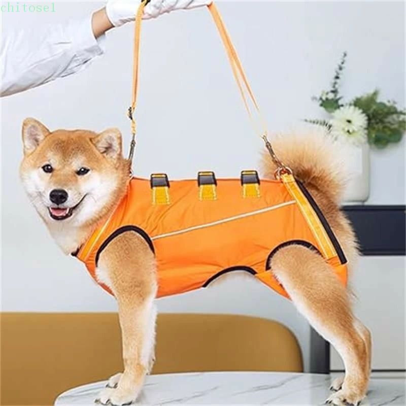【犬の介護用ハーネス】犬 歩行補助 ハーネスは、関節損傷、関節炎、リウマチなどでバランスを失った犬を日常生活でサポートし、安定させることで、老犬や障害のある犬の若返りに役立ちます。 当社の犬用リフトハーネスは犬の全身をサポートでき、使い方は...