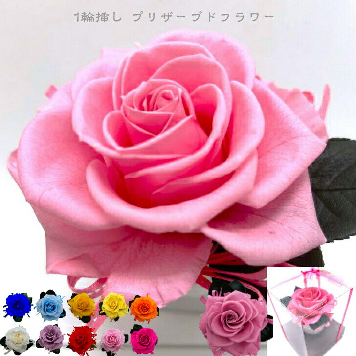 商品情報使用花材薔薇、薔薇の葉、リボン、仕入れ状況によりメーカー・色・形が変わります。入荷時期により、大きさや形、色合いが異なります。大輪の薔薇は欠品、廃盤になることも多い為、複数購入時は1輪ごとに異なる事ご了承ください。サイズ■花入り透明...