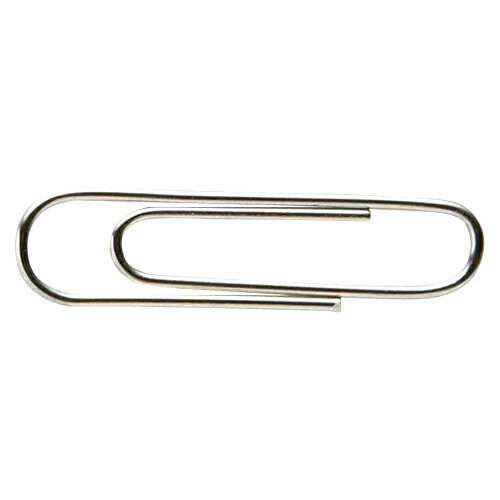 ●入数：100本 ●規格：大●全長：28mm