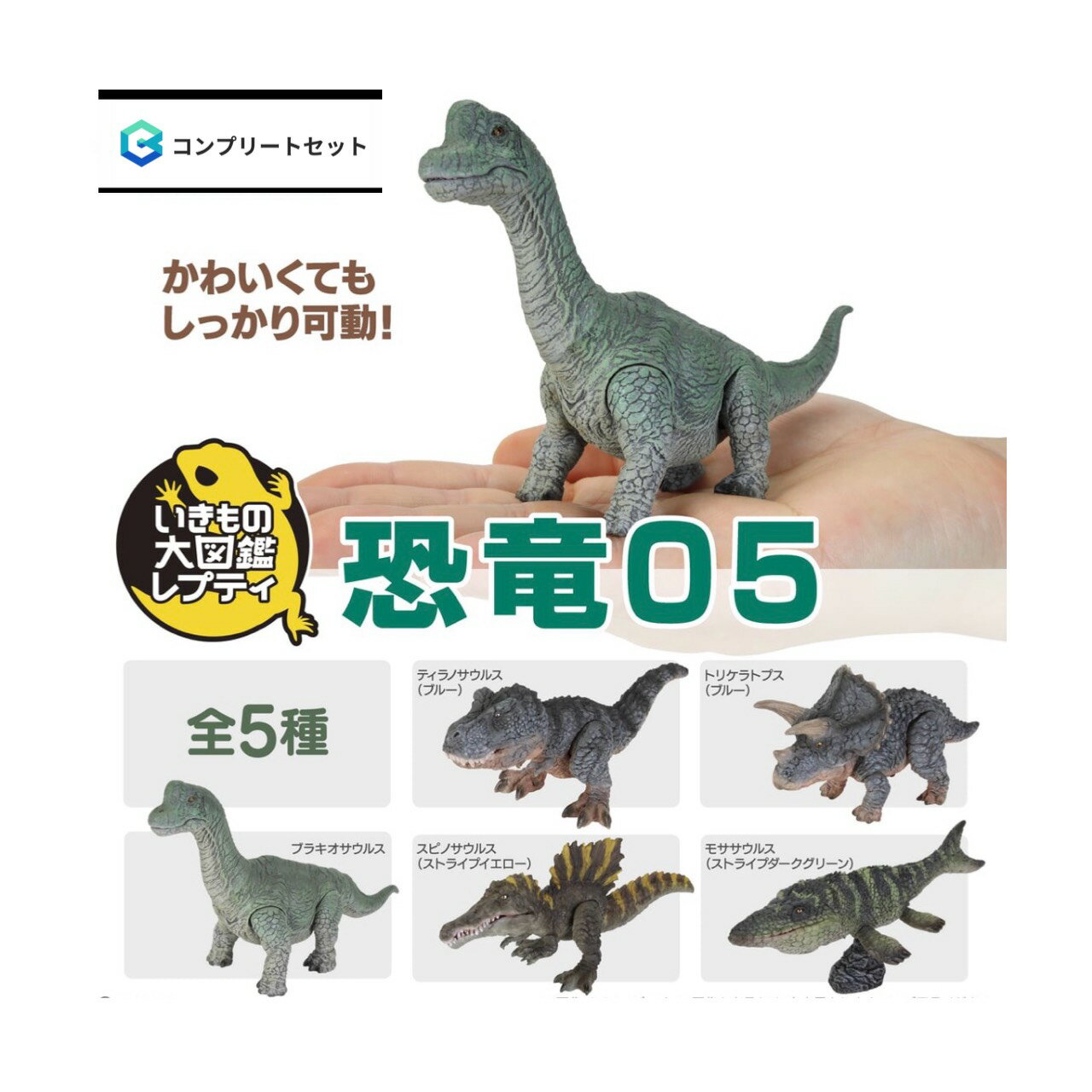 商品情報商品説明【予約商品 2026年8月発売予定 】 いきもの 大図鑑 レプティ 恐竜 05 全5種セット コンプセット カプセルは付属しておりません確認事項※今後随時情報が公開されますので変更等があってもキャンセルはできかねます。※メー...