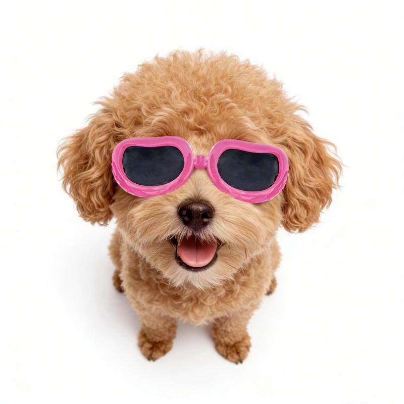 Enjoying 小型犬用サングラス、UV カット 犬 ゴーグル、やわらかい、調整可能、防風防塵 小型犬種 アウトドアゴーグル、目を保護します